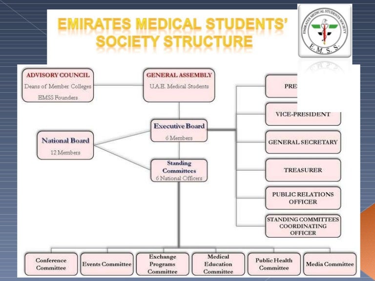 Emss Structure