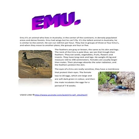 The Emu | PDF