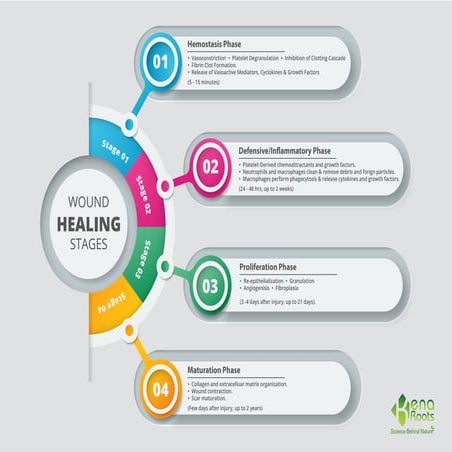 Nervacin Cream brochure | PDF