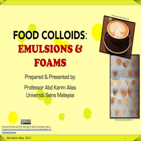 Introduction to Food Emulsions and Foams | PDF
