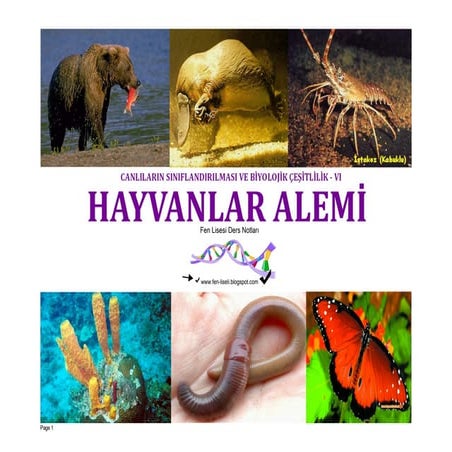 17 canl-snf-biy-cst-vi-hayvanlar-alemi | PDF