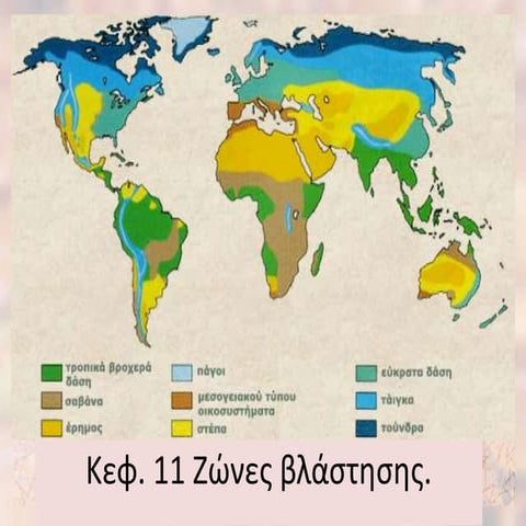 En. 2 Zones blastisis | PPT