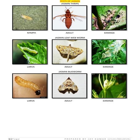 Different Types Of Soils In Odisha And What Type Of Organic Farming Can ...