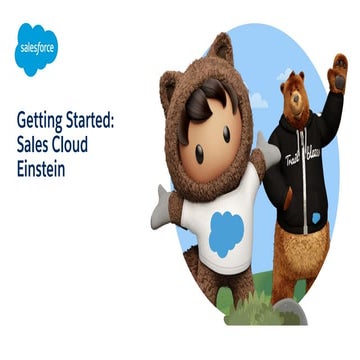 EN-CT-EXT-Getting Started- Sales Cloud- Einstein 240321.pdf