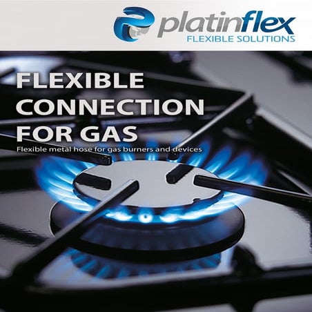EN14800 GAS HOSES | PDF