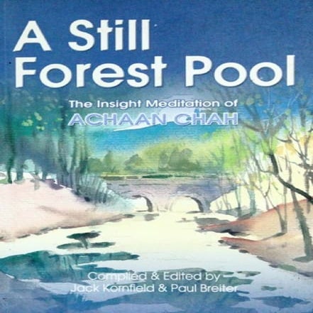 A still forest Pool | PDF