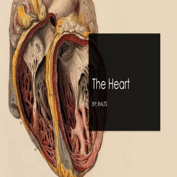 Blood flow through the Heart- Grade 10- term 3 | PPTX
