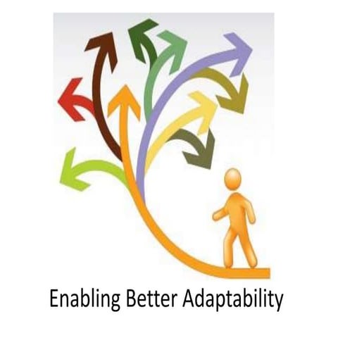 HD Mini-Teach Adaptability | PPTX