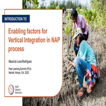 Enabling factors for Vertical Integration in NAP process | PPT