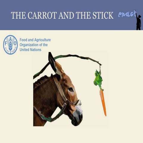 ENACT carrot &stick | PPTX