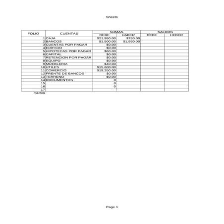 Balance Sheet Proforma Final | XLS