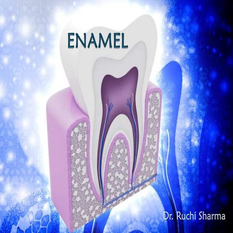 Enamel | PPTX