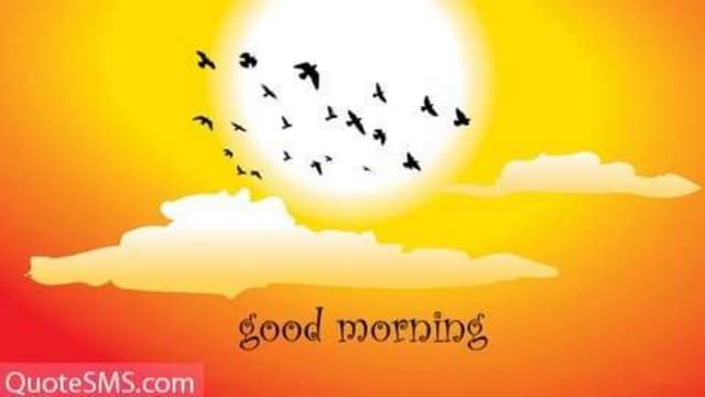 Development of Root | PPTX