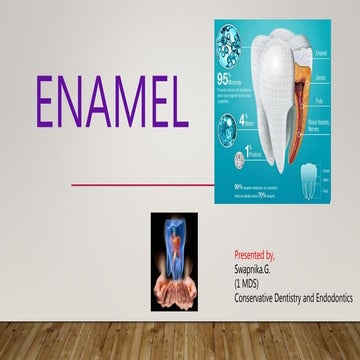 Enamel CONSERVATIVE DENTISTRY AND ENDODONTICS | PPTX