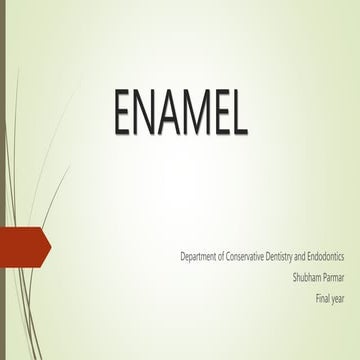 Enamel | PDF