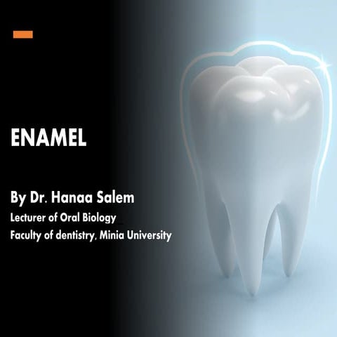 Enamel | PDF