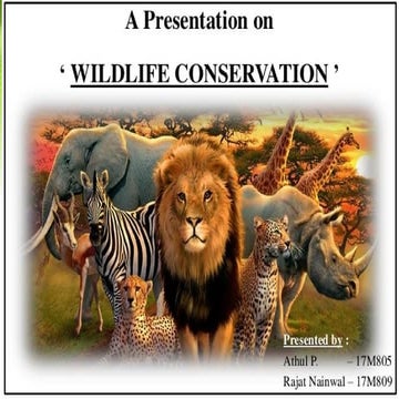 SOC WILDLIFE PPT for class 6 to 8 .pptx