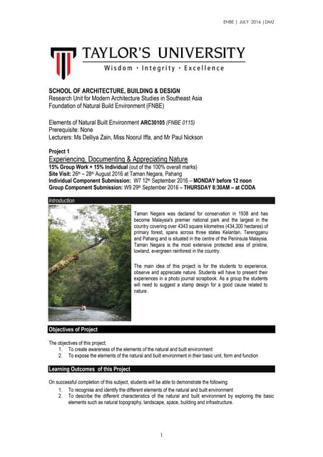 Placard making | PPTX | Drawing and Sketching | Arts and Crafts