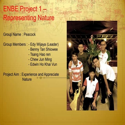 ENBE (Individual Documentation) | PPT