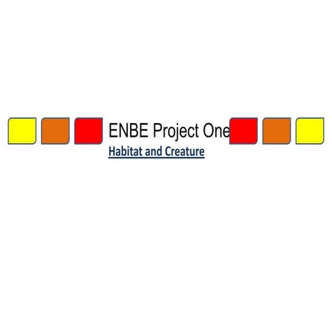 Enbe Project 1 | PPTX