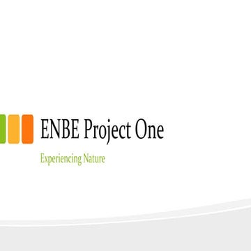 Enbe Project One | PPT