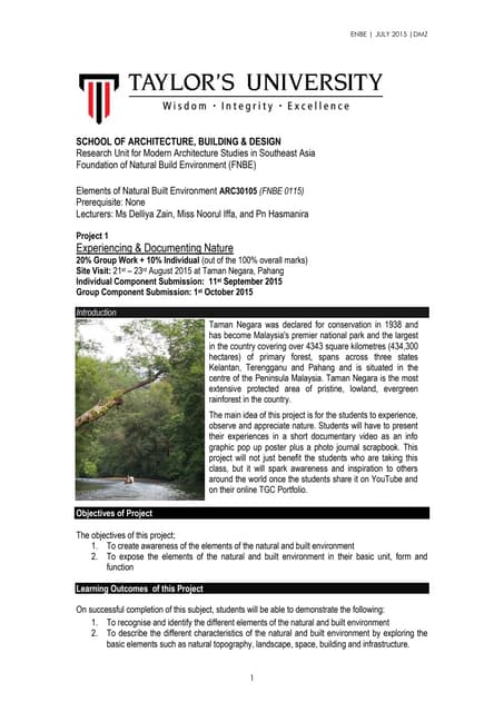 Assignment 02 masks | PDF