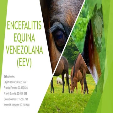 ENCEFALITIS EQUINA VENEZOLANA MEDVET.pptx