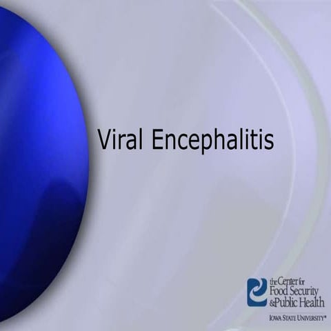 encephalitis.ppt FOR PRESENTATIONS AN SEMINARSNS | PPT