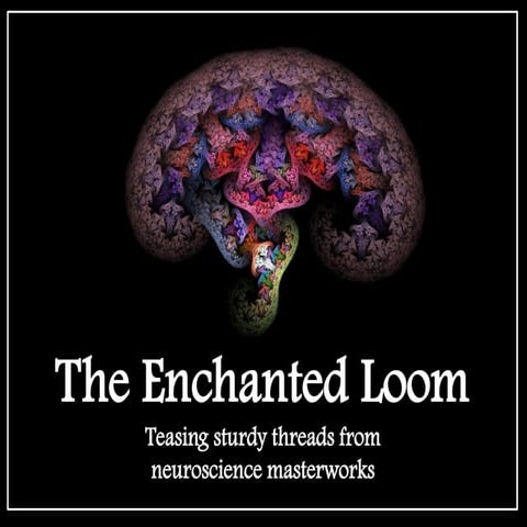 The Enchanted Loom reviews Robert Scaer's book, The Trauma Spectrum | PDF