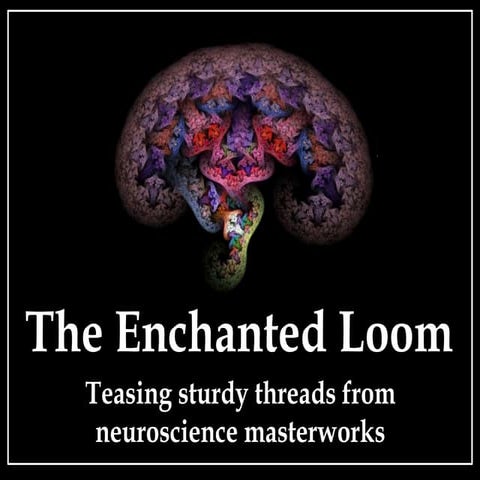 The Enchanted Loom reviews Leonard Shlain's book, Leonardo's Brain | PPT