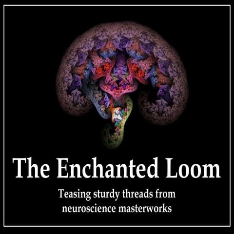 The Enchanted Loom reviews Shankar Vedantam's book, The Hidden Brain | PPTX