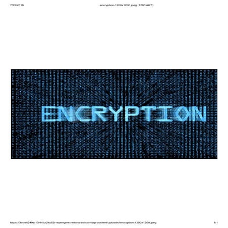 Encryption | PDF