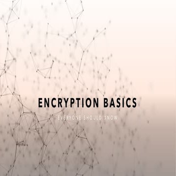 Encryption Basics Everyone Should Know | PDF