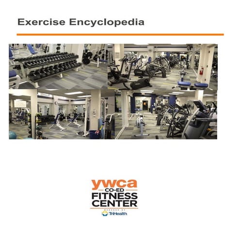Encyclopedia of exercise 2.0 | PDF