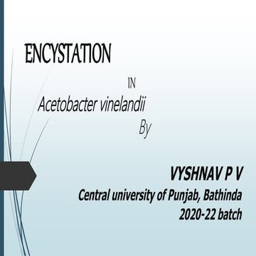 Encystation | PPTX