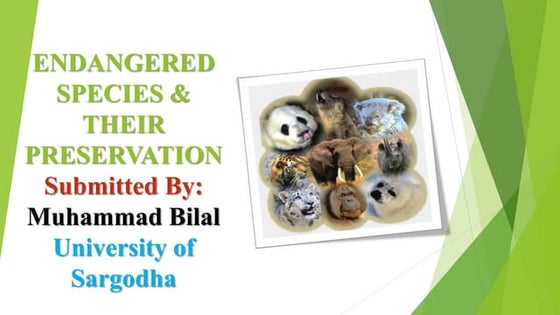 Endangered and Endemic species of India | PPTX | Geography | Science