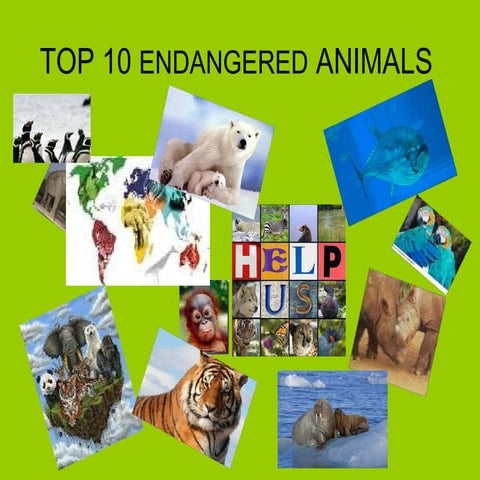 Endangered species Unit 3 | PPT | Large Animals | Pets