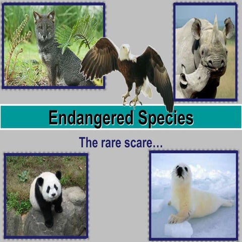Endangered-Species (1).ppt | Zoos & Aquariums | Attractions