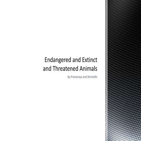 Endangered and extinct | PPT