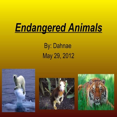 Endangered animals Dahnae | PPT