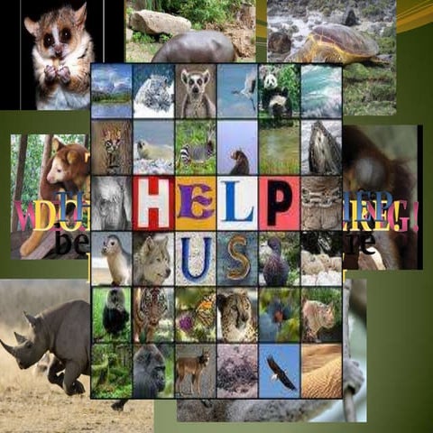 Endangered animals | PPTX