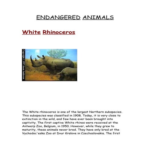 Endangered animals | DOC