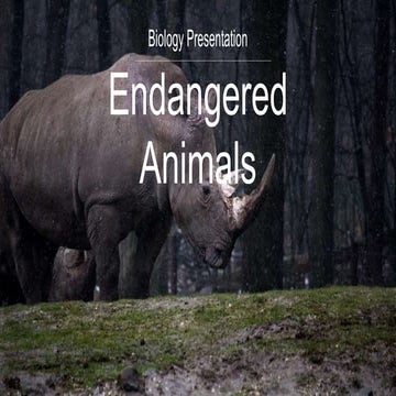 Endangered Animals - Biology Presentation | PPTX