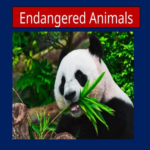 animals endangered in the kingdom of earth | PPTX