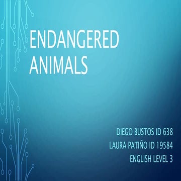 Endangered animals activity 3 (1) | PPT