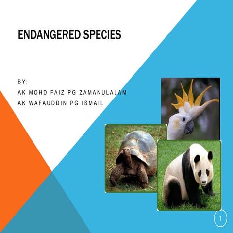 Endangered Species | PPT