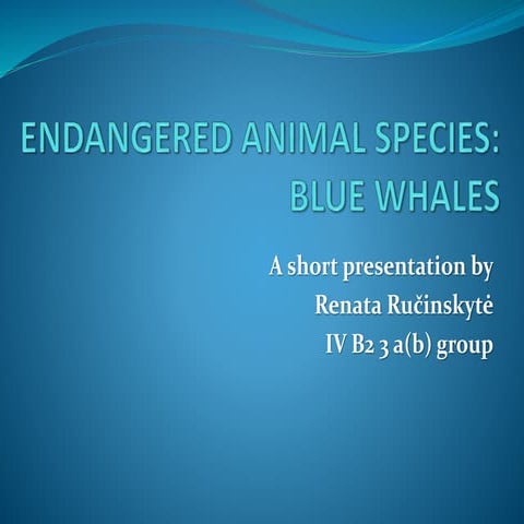 Endangered animal species: Blue Whales | PPTX
