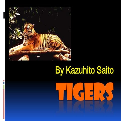 Tiger powerpoint | PPTX