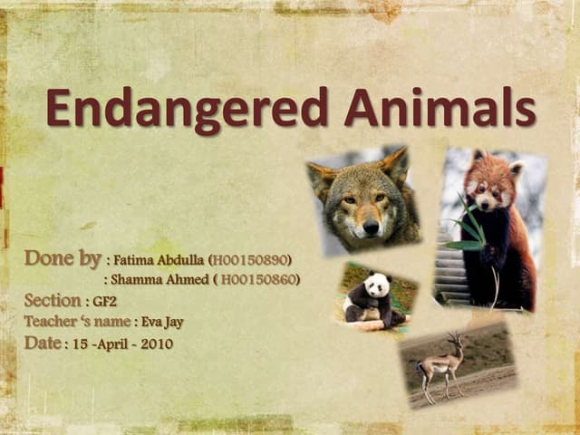 Endangered species ppt