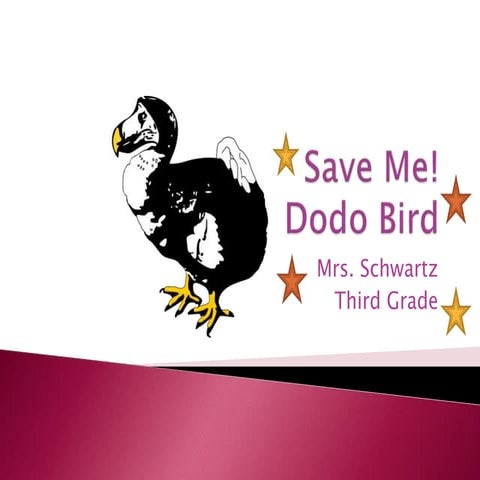 Animal third grade presentation | PPTX